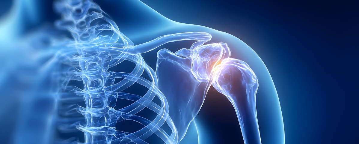 Shoulder Anatomy & Function | Non-Surgical Shoulder Pain Treatment